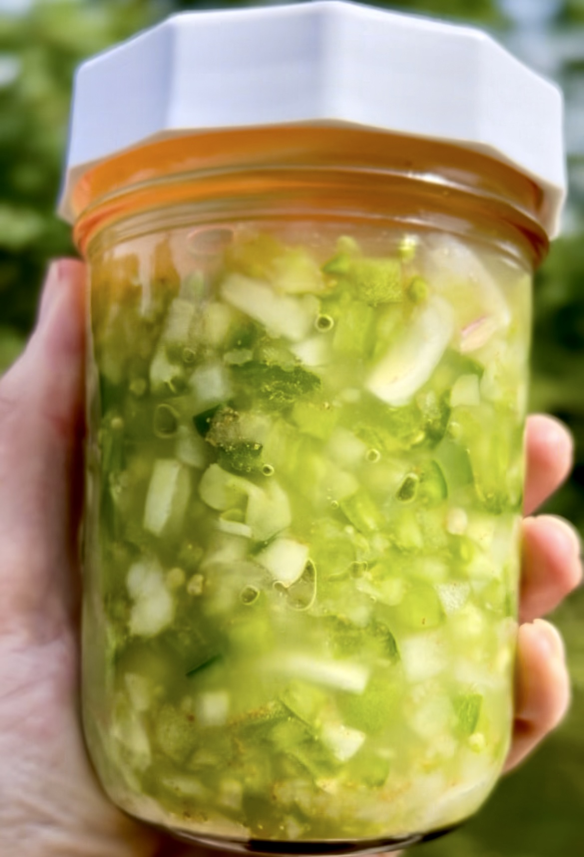 Fermented Salsa Verde - Cultivating Roots