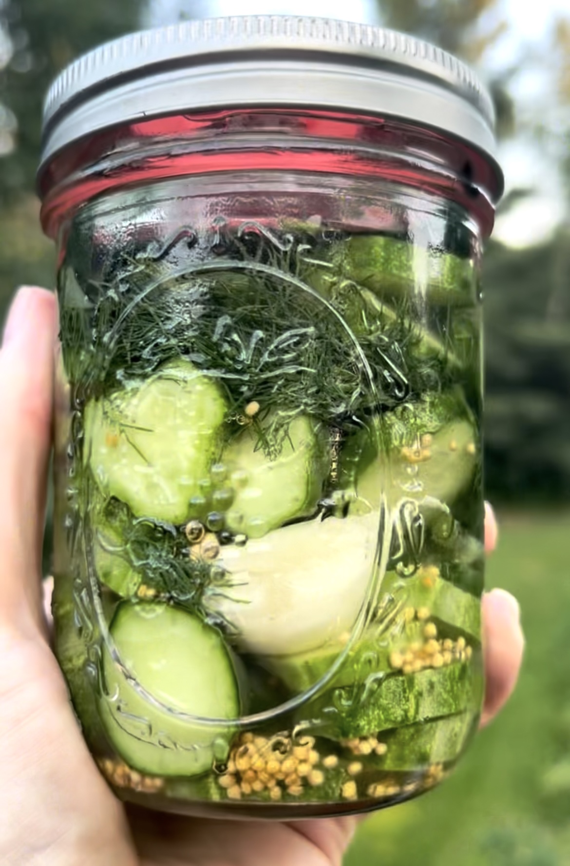 Fermented Cucumbers - Cultivating Roots